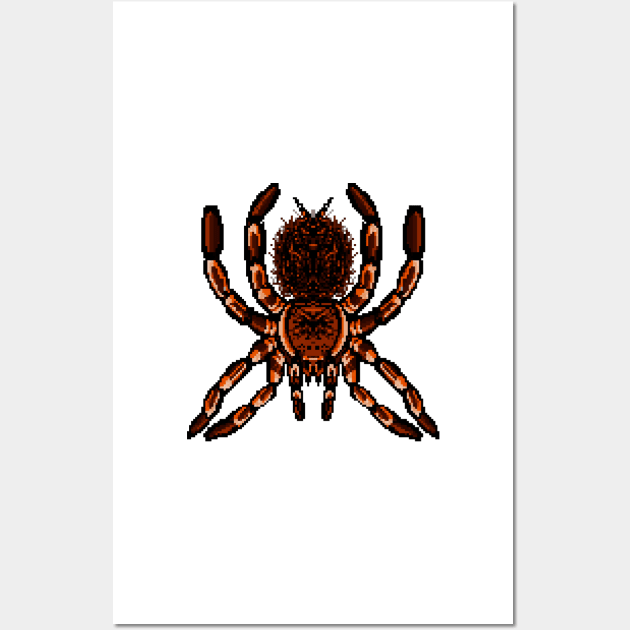 Tarantula Pixel Art 11 - Tarantula - Posters and Art Prints | TeePublic